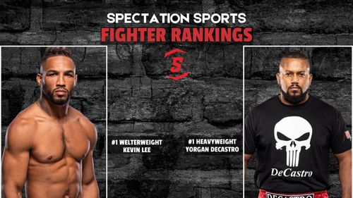 Spectation Fighter Rankings: November 2024